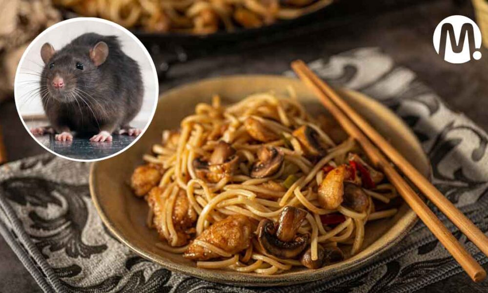 Por presencia de ratas, cierran restaurante chino en Villavicencio