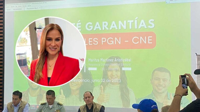 ¿Magistrada del CNE, Maritza Martínez en política?