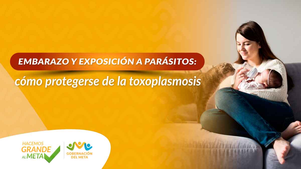Embarazo y exposición a parásitos: cómo protegerse de la toxoplasmosis