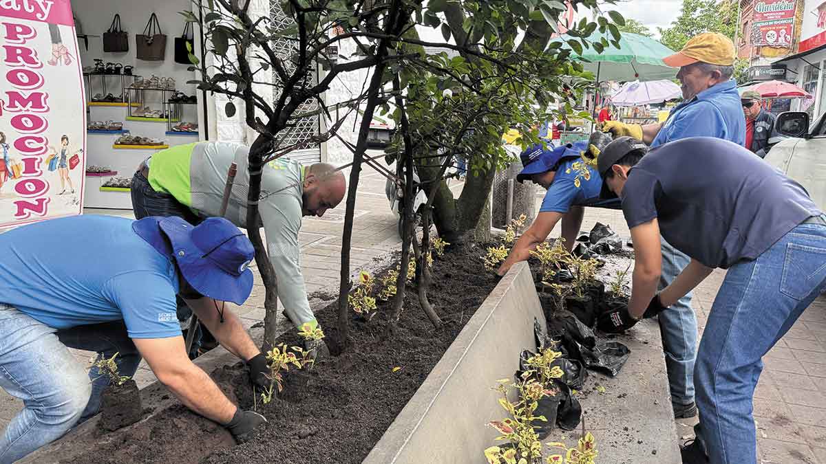 Con 560 nuevas plantas, Cielos Abiertos en Villavicencio se embellece ...